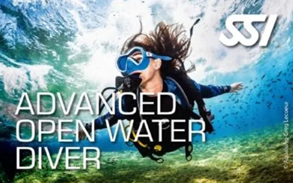 探索SSI AOWD與ASD：SSI 潛水進階教育的不同選擇 | 環礁潛水